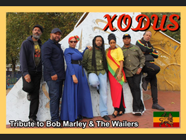 Home | The Lights Andover